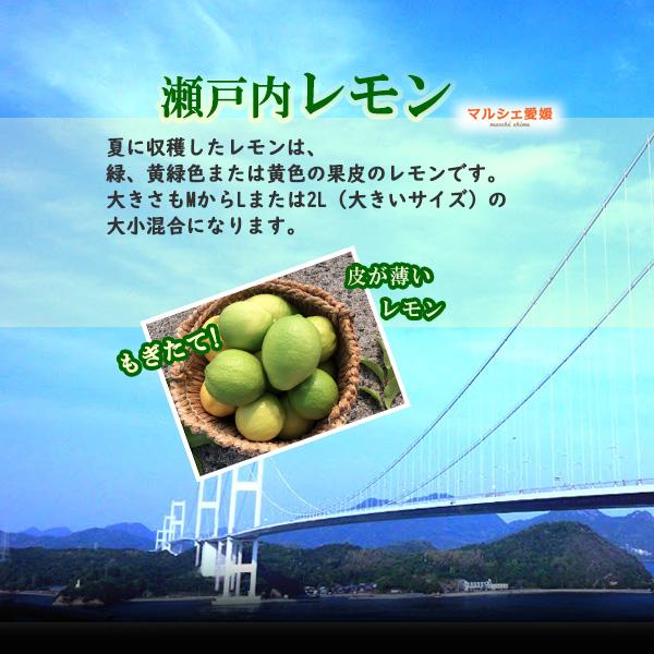 レモン 夏レモン 国産レモン 3kg サイズ混合 M L 2L グリーンレモン 3キロ 愛媛 一部地域 送料無料 : マルシェ愛媛 - 通販 - Yahoo!ショッピング