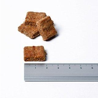 サンデーペッツ ジェントルベイク グレインフリー ホキ ウィズトライプ 2.6kg（1.3kg×2袋）キャットフード 国内正規品 【日本全国送料無料】 : 0602573437193 ...