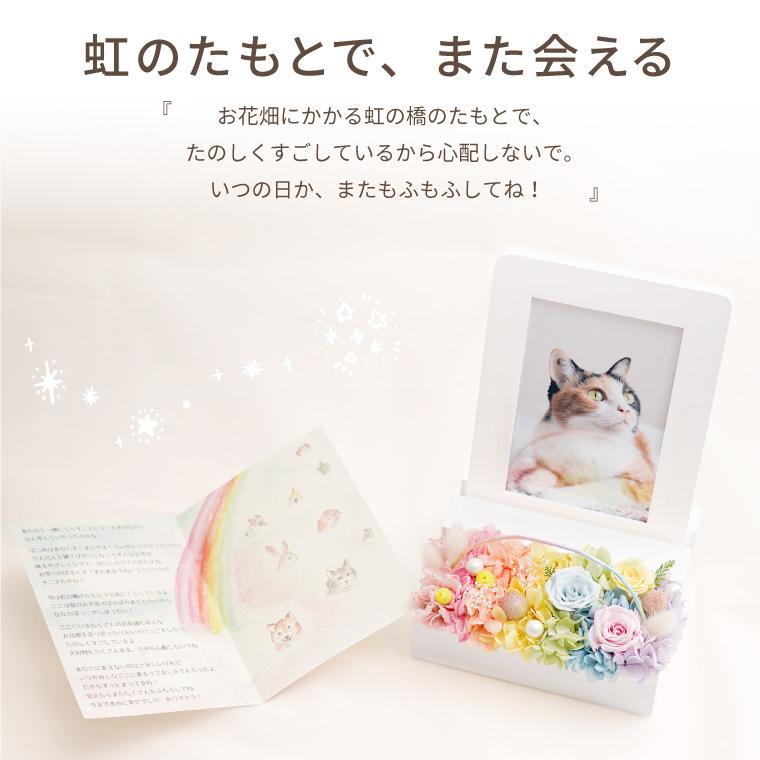 ペット お盆 初盆 お供え 花 虹の橋フォトフレーム エトワール 写真立て プリザーブドフラワー 犬 猫 ウサギ お悔やみ お花 命日 仏壇 仏花 枕花 一周忌 法要 : FLEGRE 2号店 ...