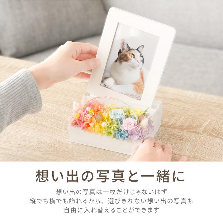 プリザーブドフラワー お彼岸 お供え ペット 花 お悔やみ 虹の橋 お花たっぷりペットちゃん仏具10点セット お花 命日 供花 仏花 枕花 一周忌 プレゼント : FLEGRE 2号店 ...