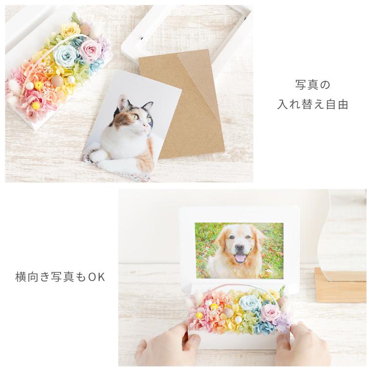 プリザーブドフラワー お彼岸 お供え ペット 花 お悔やみ 虹の橋 お花たっぷりペットちゃん仏具10点セット お花 命日 供花 仏花 枕花 一周忌 プレゼント : FLEGRE 2号店 ...