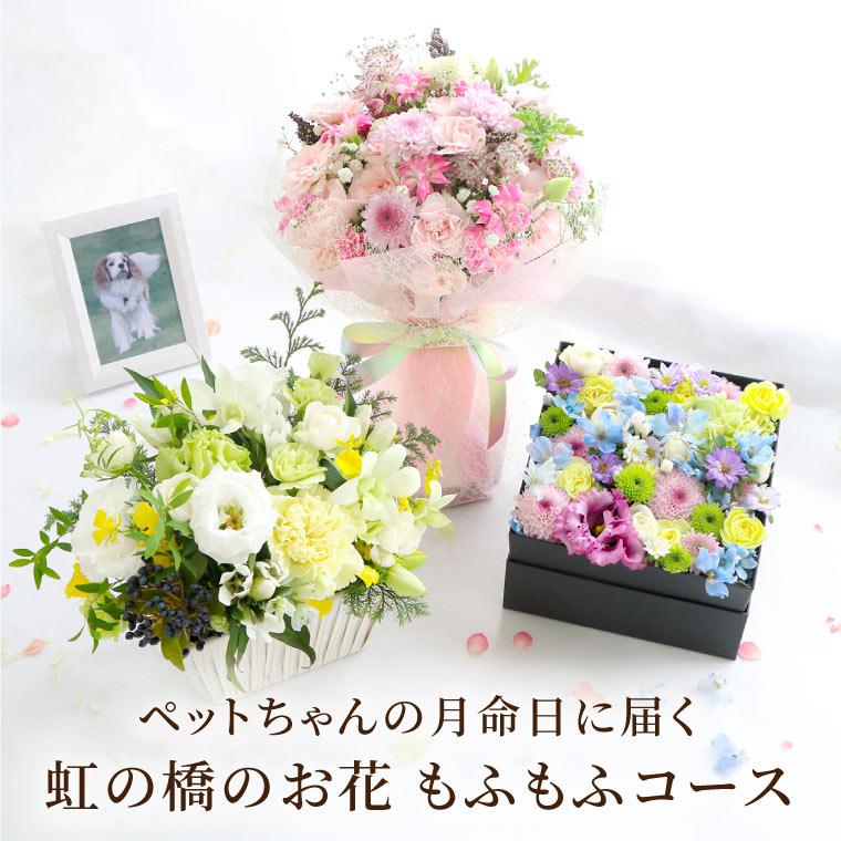 ペット お供え お悔やみ花 虹の橋 定期便 もふもふコース 12か月 生花 月命日 フラワーアレンジメント 花束 供花 仏花 枕花 犬 猫 供養花 お花 贈り物 : FLEGRE 2号店 ...