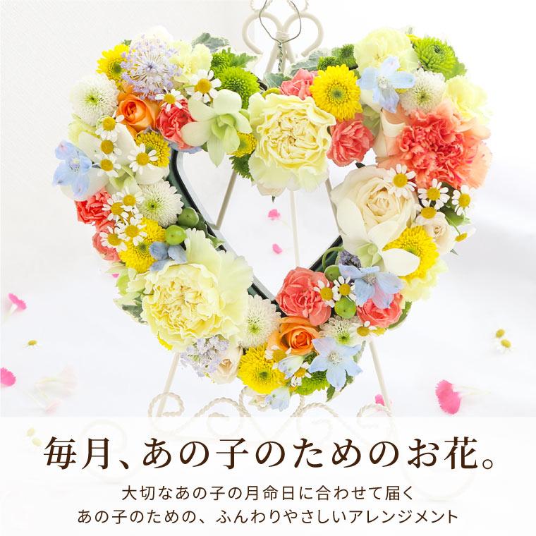ペット お供え お悔やみ花 虹の橋 定期便 ふかふかコース 12か月 生花 月命日 アレンジメント 花束 供花 仏花 枕花 犬 猫 供養花 お花 贈り物 : FLEGRE 2号店 - 通販 ...