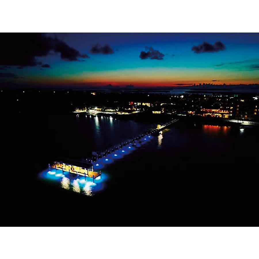 水中ライト Piranha P24 カラーチェンジ (CC) : MarineDay’s - 通販 - Yahoo!ショッピング