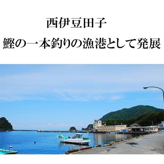 鰹の塩辛 1瓶 320g 激辛口 日本料理 西伊豆 :23-tagomaru1:白浜マリーナ Yahoo!店 - 通販 - Yahoo!ショッピング