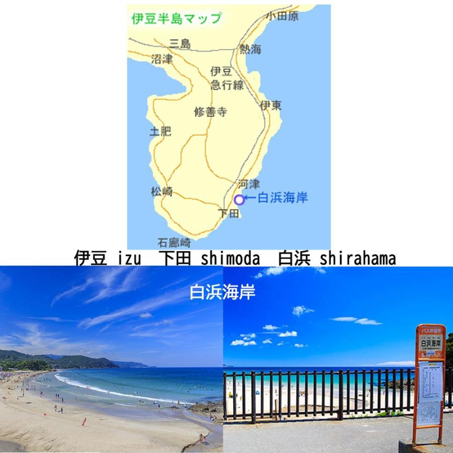 ブランド登録なし 鰹の塩辛 1瓶 320g 激辛口 日本料理 西伊豆 : 白浜マリーナ Yahoo!店 - 通販 - Yahoo!ショッピング