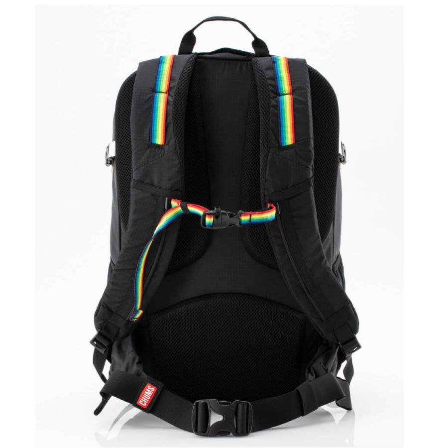 CHUMS チャムス Spring Dale 30L スプリングデール 30リットル ユニセックス カジュアル バッグ リュック バックパック デイパック CH60-2743 : スポーツ ...