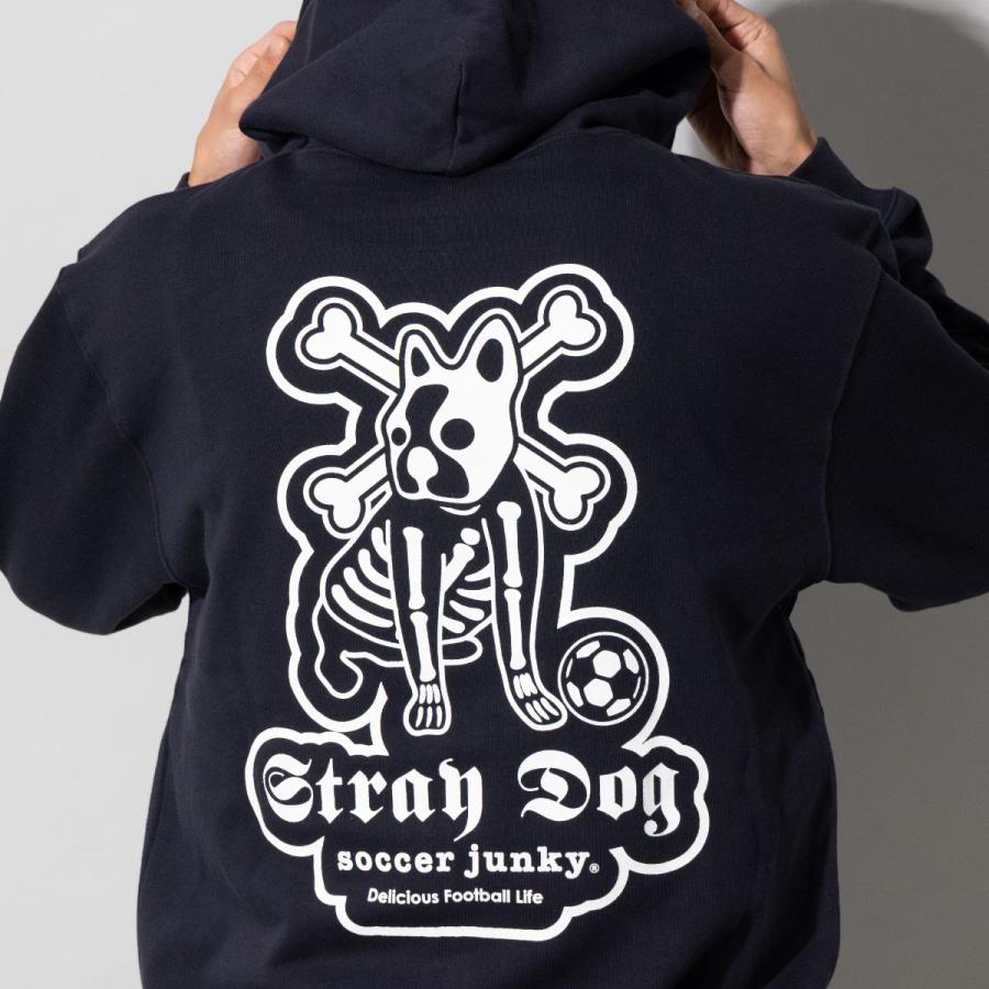 SoccerJunky（サッカージャンキー） クラウディオ・パンディアーニ