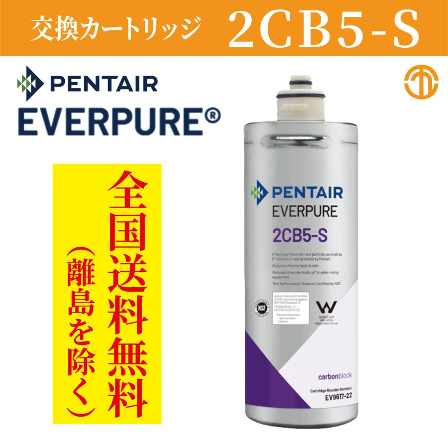 全国送料無料 業務用浄水器 エバーピュア 交換用カートリッジ 2CB5-S（ QL3-2CB5-S 用）PENTAIR EVERPURE 浄水器 カートリッジ 交換用 エバピュア ...