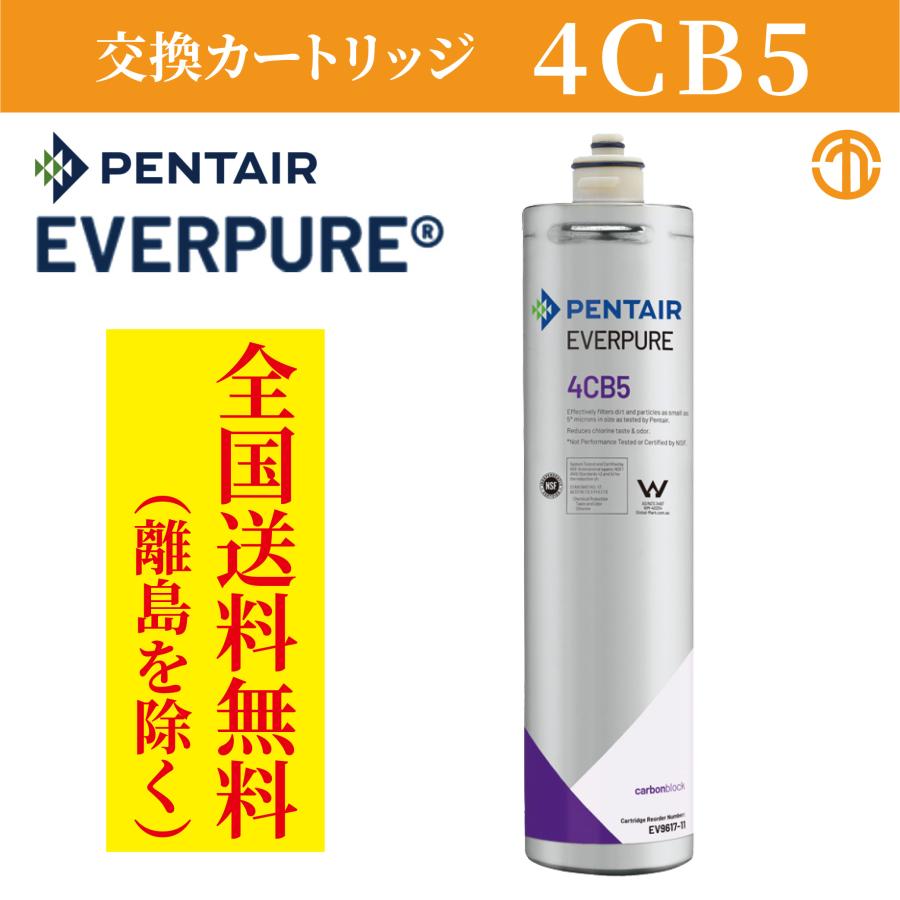 全国送料無料 業務用浄水器 エバーピュア 交換用カートリッジ 4CB5（ QL3-4CB5 用）PENTAIR EVERPURE 浄水器 カートリッジ 交換用 エバピュア : order ...