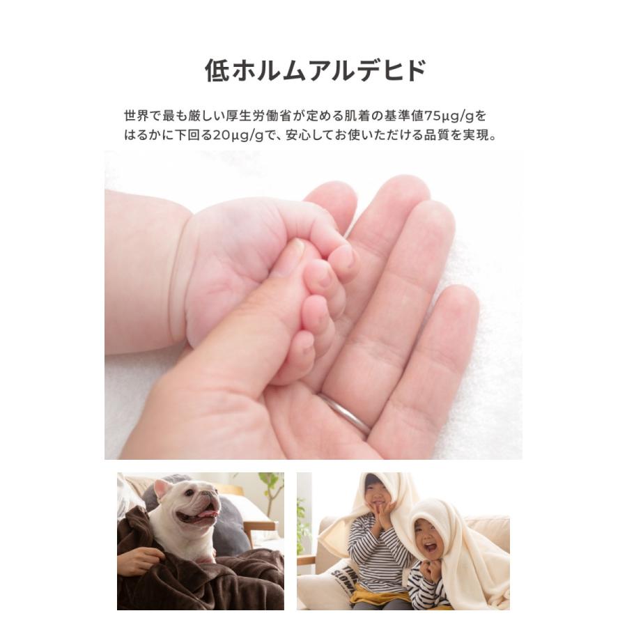 プレミアムマイクロファイバー 省スペース こたつ ふとん 【抗菌綿入】 mofua 長方形（80×120cm）こたつ掛布団 コンパクト 温かい モフア 静電気防止 :aqa-147552 ...