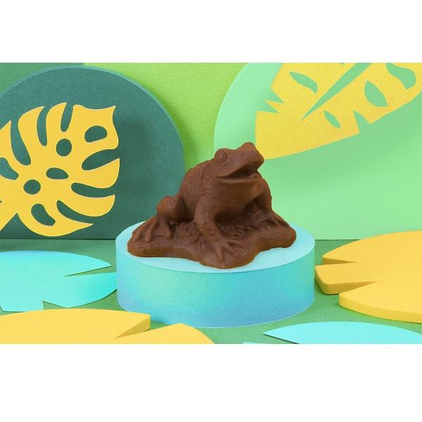 バレンタイン 2025 チョコZOOLOGYカエル ヒキガエル 1個入 : 丸広オンラインショップ - 通販 - Yahoo!ショッピング