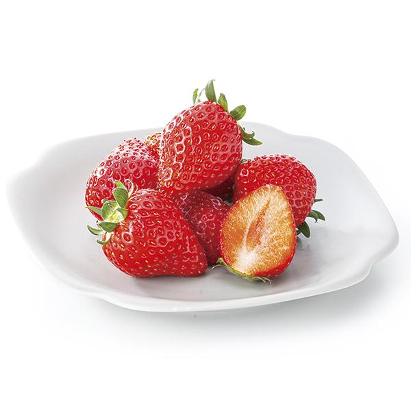 真心農園 まなこころ あまりん「楓」 MA‐1 P13 : 丸広オンラインショップ - 通販 - Yahoo!ショッピング