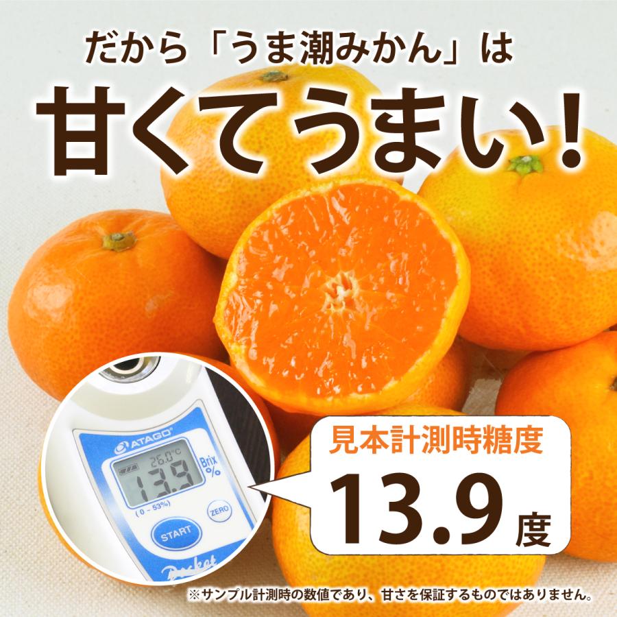みかん 温州 福岡 熊本 佐賀 送料無料 3箱セット 1箱あたり約2.5kg (2S〜Lサイズ混合) うま潮 産地直送 早生 中手 晩生 お取り寄せ 贈答 ギフト まるかじり九州 : まる ...