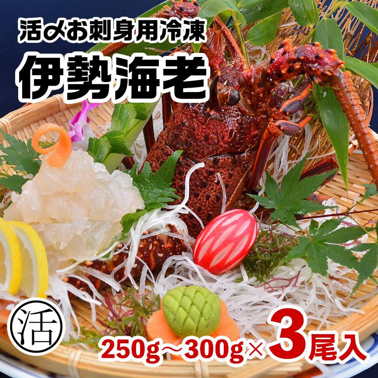 伊勢海老 約825g（250g〜300g×3尾）活〆お刺身用冷凍〔送料無料〕5種類のカラーレシピ・保存方法付 動きませんのでラクラク調理 : マルカツ市場 御宿活魚 ヤフー店 - 通販 ...