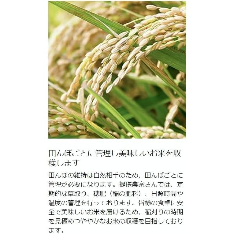 【にこまる玄米5kg】新米 令和7年度 埼玉県産 にこまる 玄米 5kg (5kg1袋) 未検査米 大粒米 #コシヒカリ #あきたこまち : 丸増商店 - 通販 - Yahoo!ショッピング