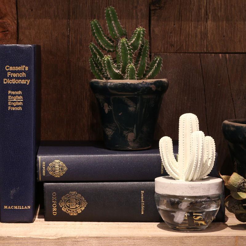 DULTON ダルトン CACTUS FRAGRANCE DIFFUSER サボテン ディフューザー おしゃれ 玄関先に リビングに いい香り :dulton-G675-824A-EP ...
