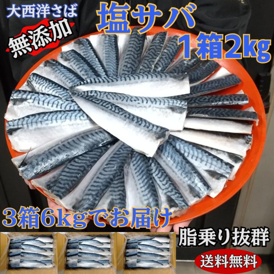【送料無料】塩サバ 超メガ盛り合計6kg(2k×3）が5997円って！これが話題のサバ子ちゃん！小ぶりですがウマいやつ！脂乗り抜群（さば 鯖 サバ お弁当サイズ ） : 神戸中央卸売市場 ...