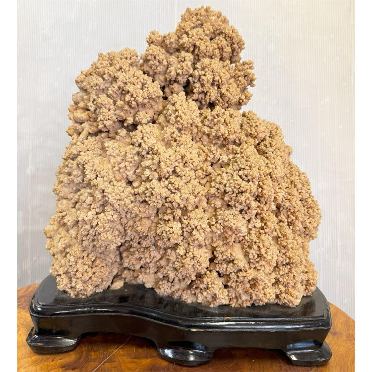 大自然が作り出した唯一無二の神秘な石 鍾乳石 【20】 stalactite 盆石 飾り石 景石 鑑賞石 希少 天然石 スタラクタイト 自然石 鍾乳洞 : 総合美術商社 増樹 - 通販 ...