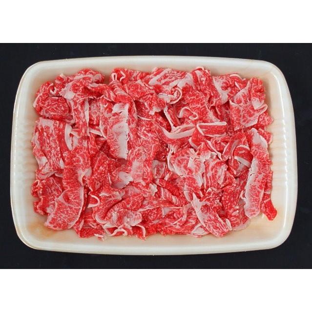 送料無料 A5A4国産黒毛和牛霜降切り落とし500g×米澤豚一番育ち切り落とし600g 贅沢極上盛り合わせセット 牛肉 豚肉 訳あり こま切れ :sandaime1:肉処 三代目本多 - 通販 ...