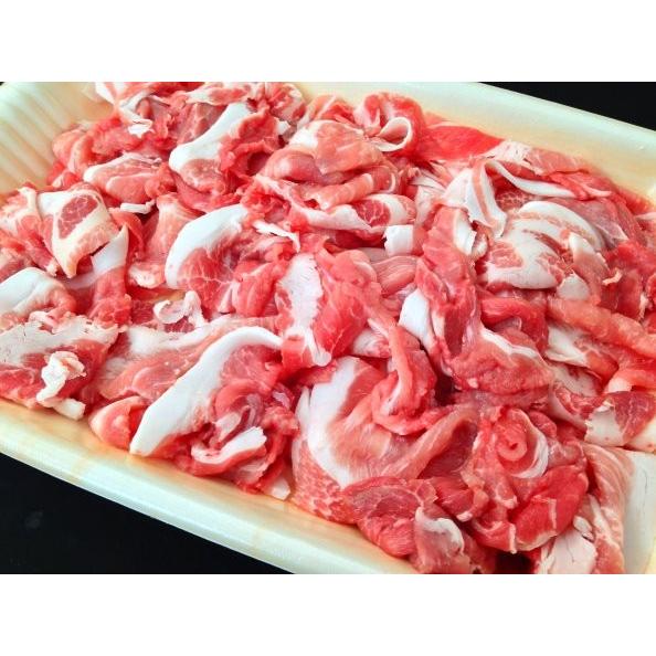 送料無料 A5A4国産黒毛和牛霜降切り落とし500g×米澤豚一番育ち切り落とし600g 贅沢極上盛り合わせセット 牛肉 豚肉 訳あり こま切れ :sandaime1:肉処 三代目本多 - 通販 ...