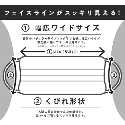 【即日】5個セット 富士 不織布 黒マスク 30枚入 ブラック KURO MASK 3層 PFE99%カット : はかりのテイク-take ...