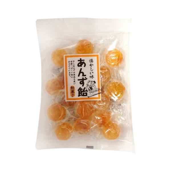 中島製菓 あんず飴 117g x12 メーカー直送 : MAXZEN Direct Yahoo!店 - 通販 - Yahoo!ショッピング