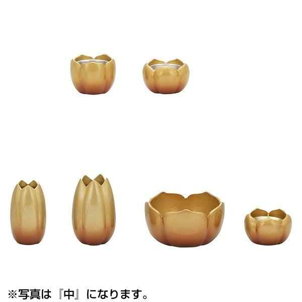 ALTE MEISTER ももか 6点セット 大 琥珀 : MAXZEN Direct Yahoo!店 - 通販 - Yahoo!ショッピング