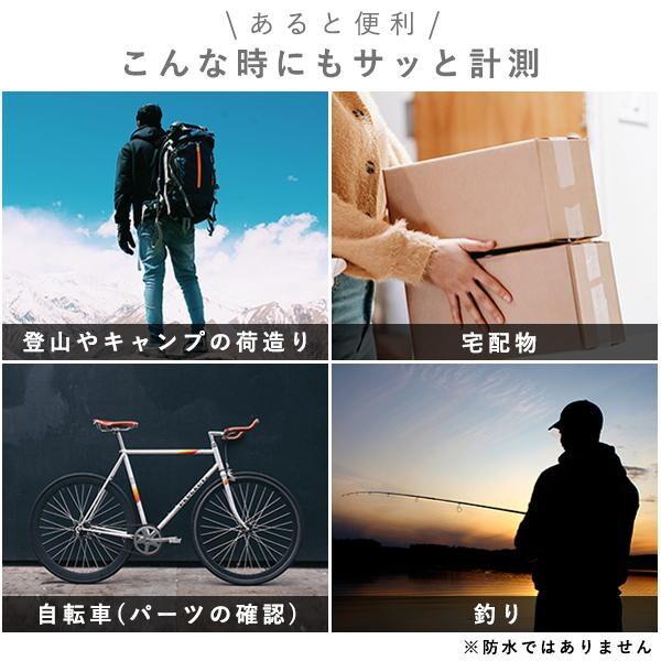 ドリテック DRETEC LS-110SV シルバー バックライト付きラゲッジスケール : MAXZEN Direct Yahoo!店 - 通販 - Yahoo!ショッピング