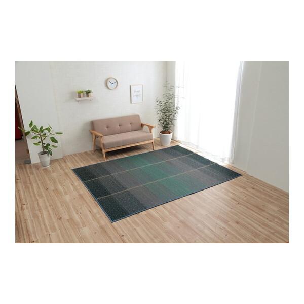 イケヒコ・コーポレーション 1070480043203 ラグ 持続性抗菌剤 KOBA-GUARD 制菌 抗菌防臭 グラデーション ブルー 約 ...