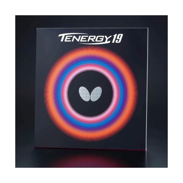 バタフライ 卓球 ラバー テナジー19 レッド 赤 2.1 Butterfly 卓球