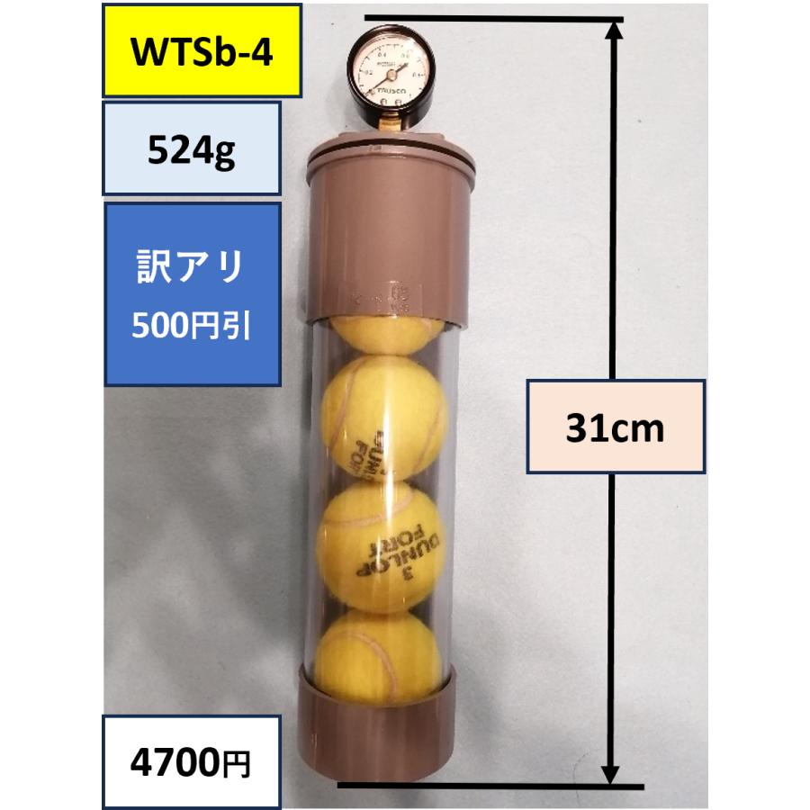 wTSb−4ボール4個用 透明塩ビ製再生器 「透明再生器」「圧力計付」「2気圧まで加圧可能」3項目満たす商品は世界でも他にありません 世界初 ...