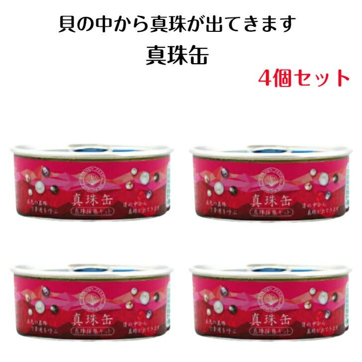 真珠缶 4個セット 真珠 真珠缶詰 真珠採集キット しんじゅかん 真珠缶 4個セット 真珠 真珠缶詰 真珠採集キット しんじゅかん
