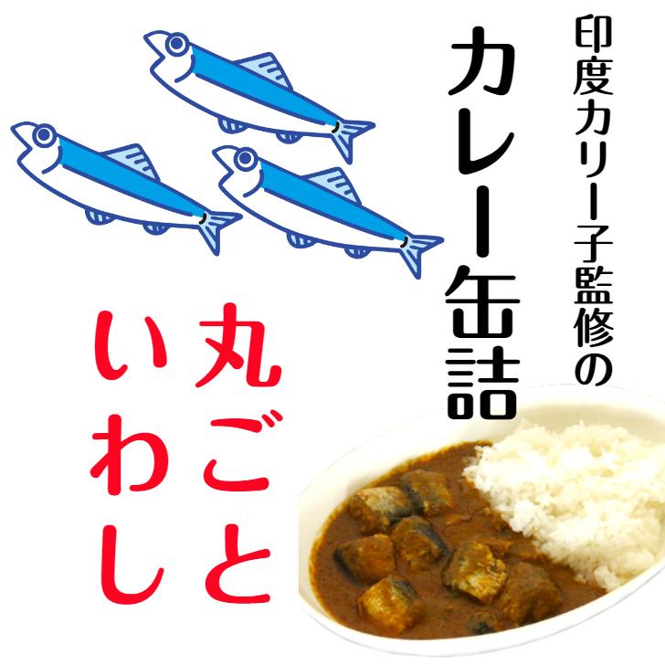 印度カリー子監修のカレー缶詰（170g）24缶セット 木の屋石巻水産 いわしカレー いわしカレー缶詰 いわし イワシ 鰯 缶詰 缶つま おつまみ 酒の肴 キャンプ : まざっせこらっせ ...