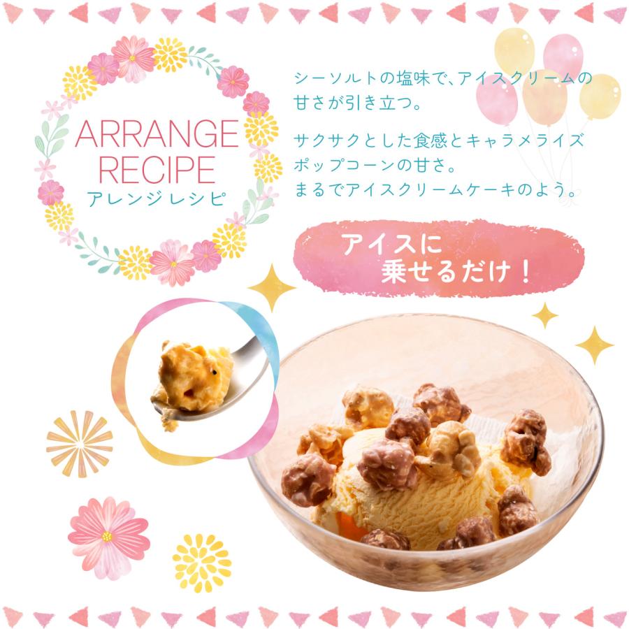 ポップコーン フレーバー スナック菓子 あまおう苺 シーソルト お菓子 10袋セット :4086872:MDH Box - 通販 ...