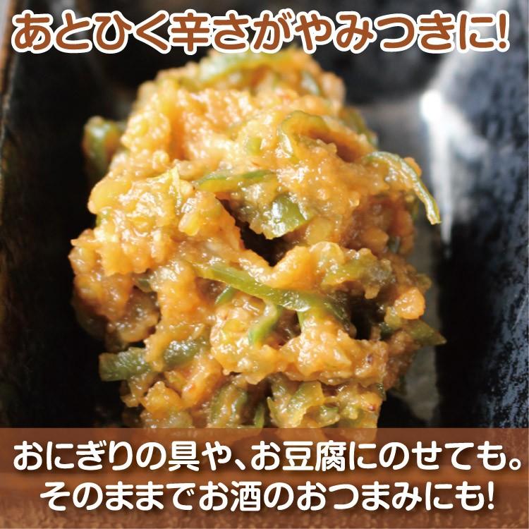 青とうがらし味噌 130g×3袋 : 信州 芽吹堂 - 通販 - Yahoo!ショッピング