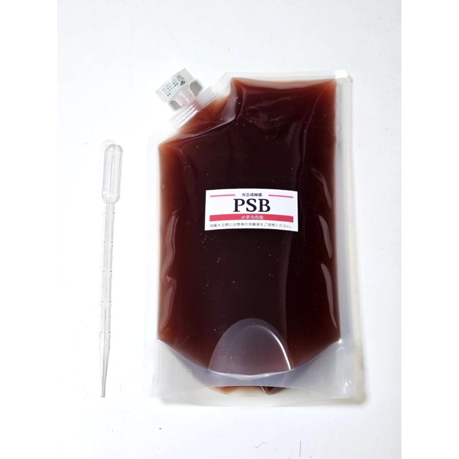 濃縮 PSB 光合成細菌 スポイト 説明書付き : ゴールドウッド-メダカの友 - 通販 - Yahoo!ショッピング