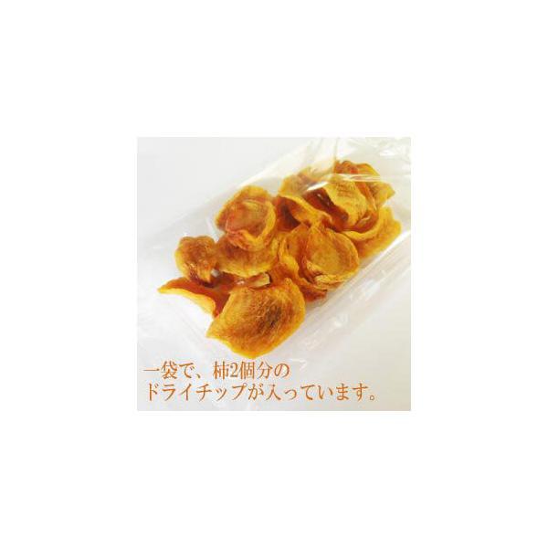 干し柿 ドライフルーツ 無添加 柿のしずく 70g 2個セット 王隠堂 送料無料 : メガヘルス - 通販 - Yahoo!ショッピング