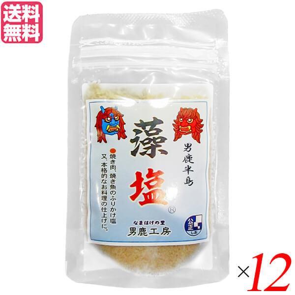 塩 藻塩 天然塩 男鹿半島 40g 12袋セット 男鹿工房 送料無料 : メガヘルス - 通販 - Yahoo!ショッピング