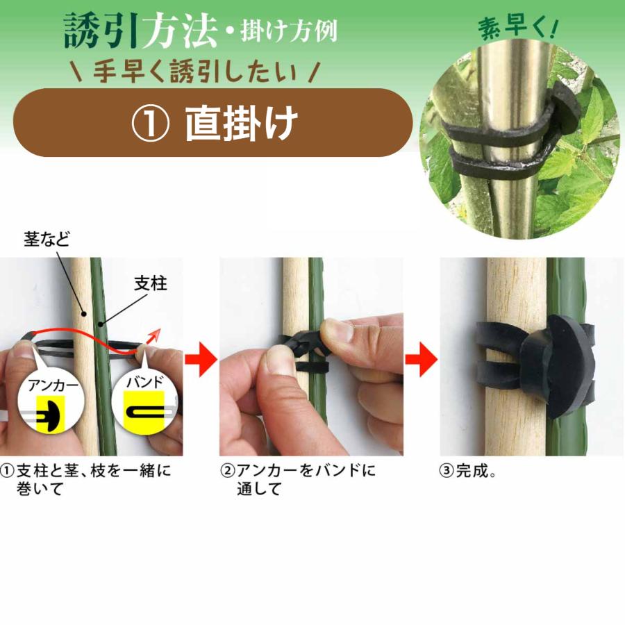 楽らくアンカーバンド AK8 長さ8cm 250g 95本入 誘引クリップ 支柱結束 園芸クリップ 誘引資材 誘引バンド 支柱バンド : MEGAオオチワークス - 通販 - Yahoo!ショッピング