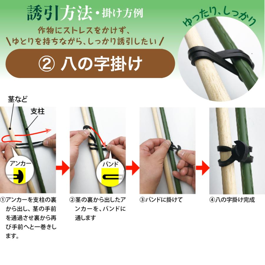 楽らくアンカーバンド AK8 長さ8cm 250g 95本入 誘引クリップ 支柱結束 園芸クリップ 誘引資材 誘引バンド 支柱バンド : MEGAオオチワークス - 通販 - Yahoo!ショッピング