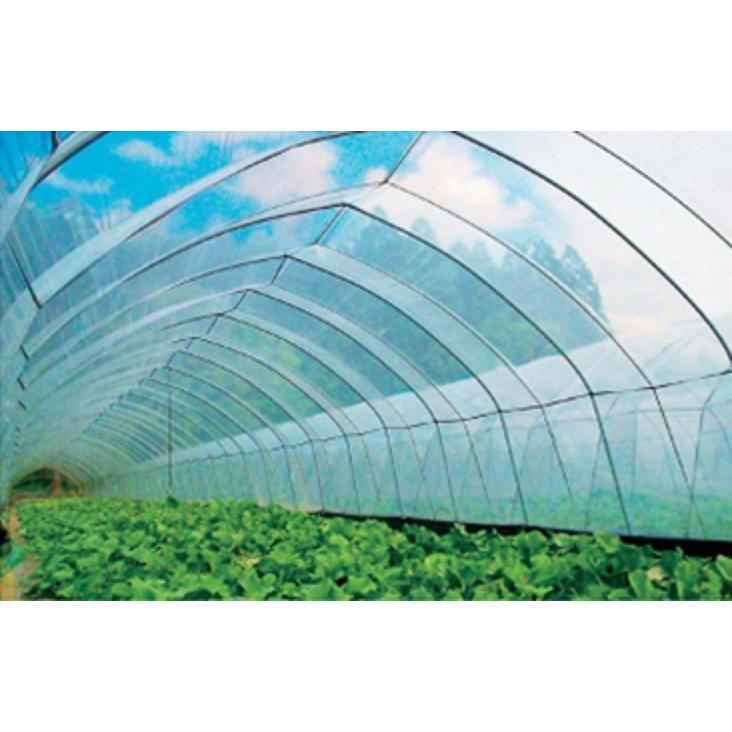 法人様限定 農業ビニール 0.1mm×230cm×100m アキレス晴天 外張り用農ビ 防霧滴汎用タイプ ビニールハウス : MEGAオオチワークス - 通販 - Yahoo!ショッピング