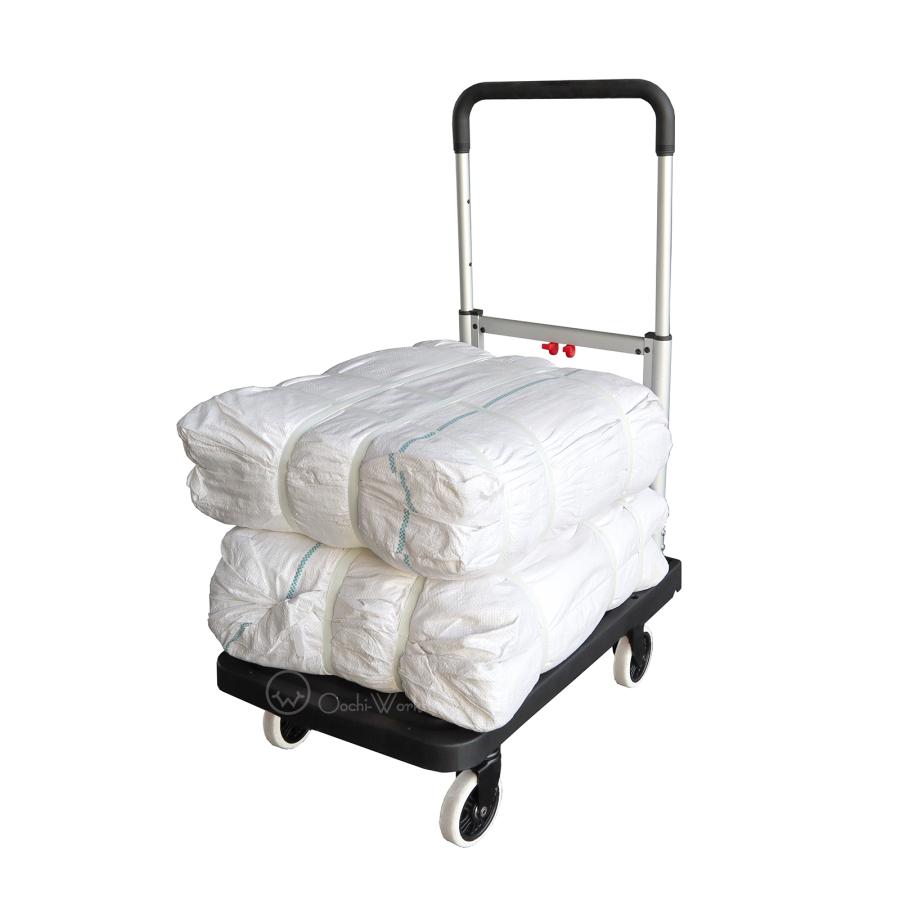 ゼクソン スーパーフラットキャリー SFK-99 折り畳み台車 : MEGAオオチワークス - 通販 - Yahoo!ショッピング