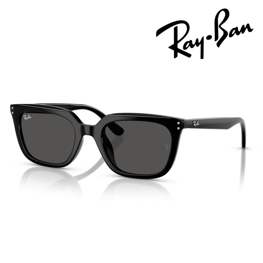 Ray-Ban レイバン サングラス RB4439D 901/87 54mm 国内正規品 保証書付 UVカット 紫外線 : メガネのハヤミ ...