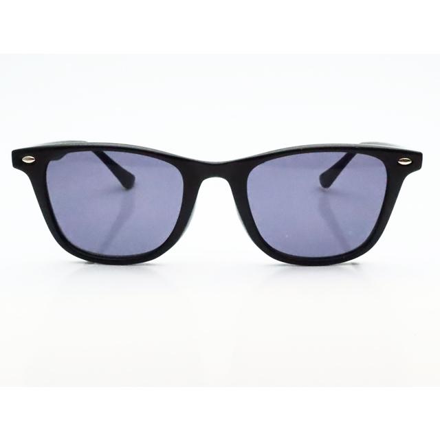 エヴァイス度入りサングラスセット EV-003 1 ブラック 度付き ケースつき UVカット 度つき完成品 : メガネプロサイトYOU - 通販 - Yahoo!ショッピング