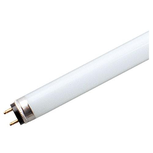 プリンス電機 スーパーライン 白色 FLR32T6W 61-393-13-3 【店舗運営用品 照明器具 蛍光灯 照明／電球】 : 厨房卸問屋名調 - 通販 - Yahoo!ショッピング