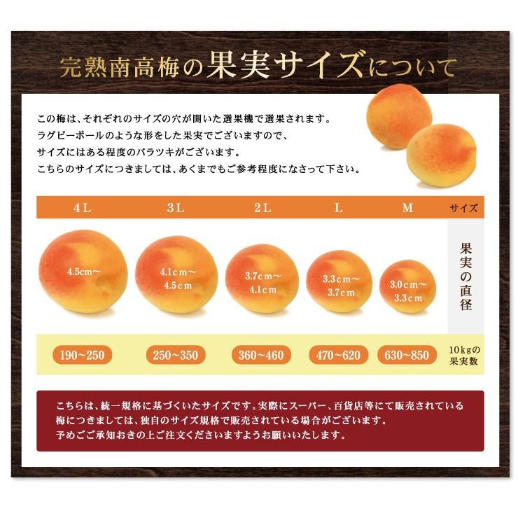 紀州南高梅 厳選 朝取れ 完熟 青梅 青うめ 生梅 3kg 3キロ L 2L 3L 4L 梅干し 梅酒用 加工用 ウメ うめ 箱買い 箱 送料無料 : メリメロフルーツ - 通販 ...