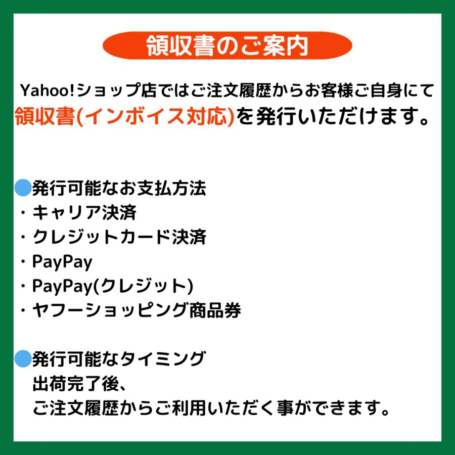 レイメイ藤井 Raymay しゃべる 国旗付き 地球儀 OYV46 球径20cm : memento Yahoo!ショップ - 通販 - Yahoo!ショッピング