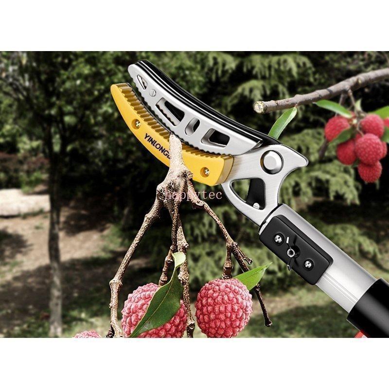高枝切りバサミ 3m 5m伸縮式高枝切鋏 鋸付き 伸縮式 高枝鋏 高枝用 剪定鋏 剪定ばさみ 剪定バサミ SK5 高所 園芸用はさみ 太枝切鋏 枝切り 枝分け 万能はさみ : MEMUストア ...