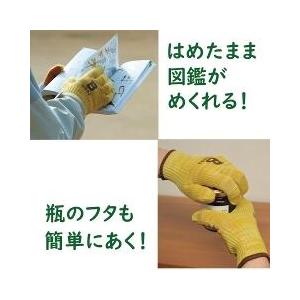 アウトドアグローブ 日本野鳥の会 :nh4:MENDEL BOOKSTORE Yahoo!店 - 通販 - Yahoo!ショッピング